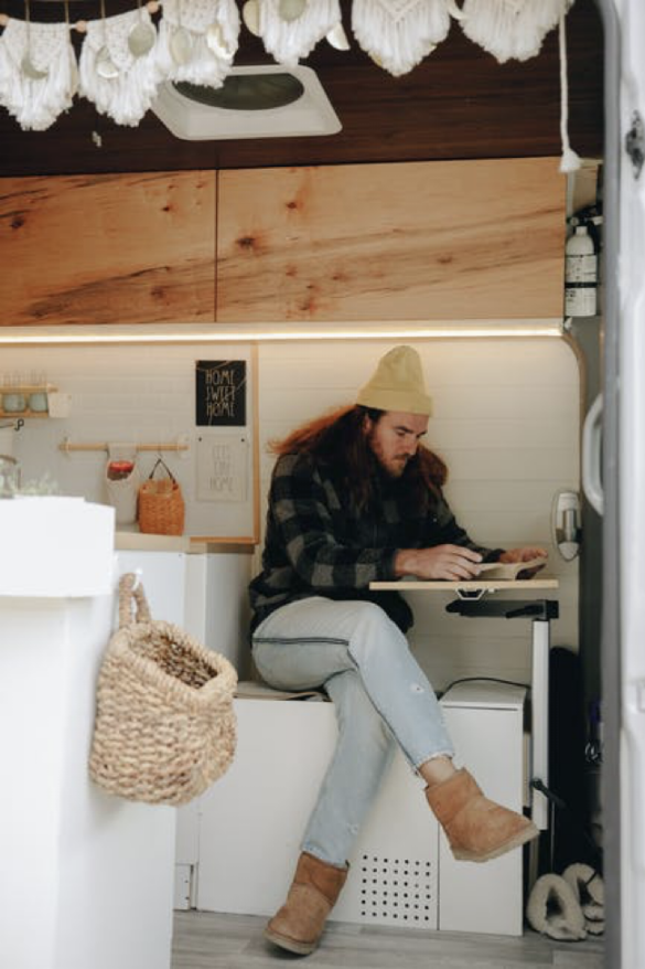 Living the Van Life With Pets: What You Need to Know - Orange Marigolds