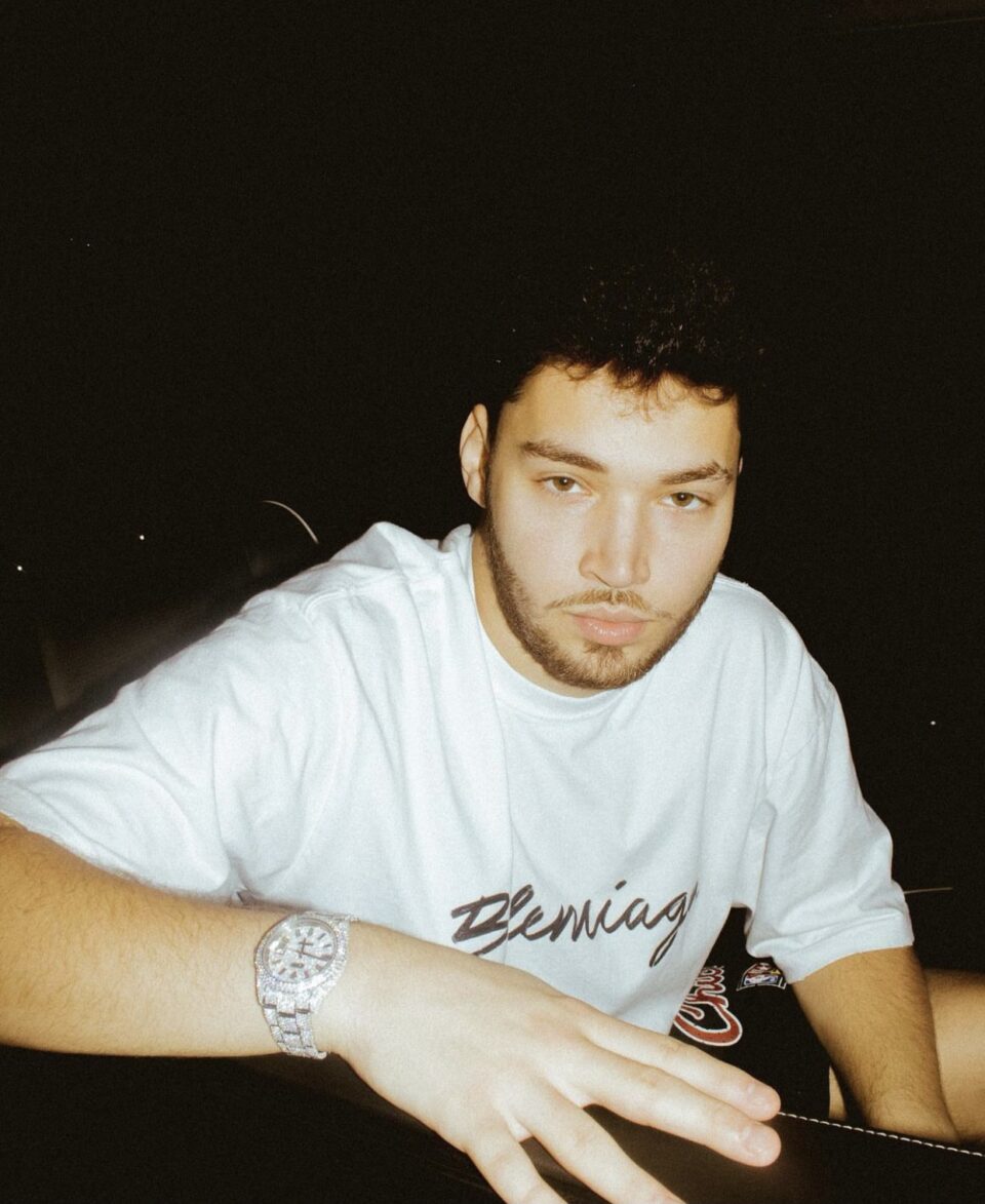 Adin Ross: His Biography and Net Worth - Orange Marigolds